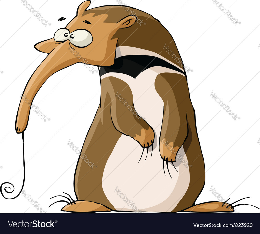 Ant eater Royalty Free Vector Image - VectorStock