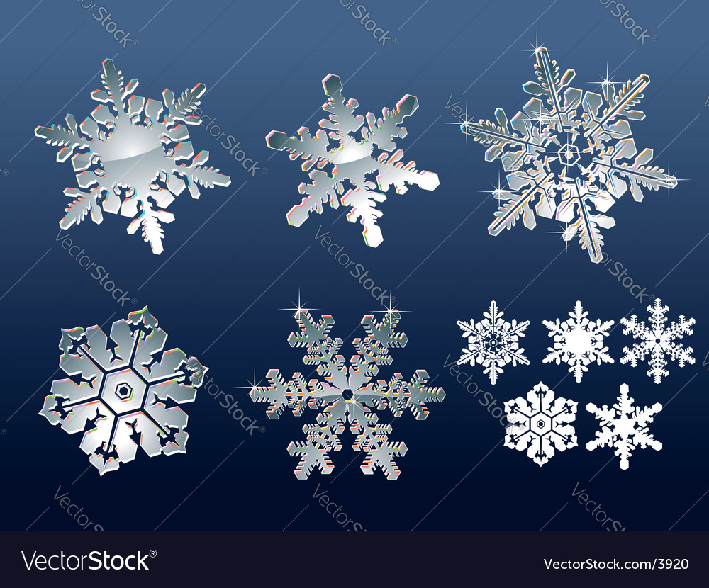 Snowflakes Royalty Free Vector Image - VectorStock