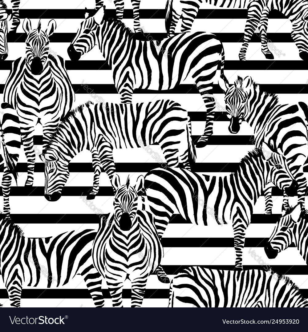 Zebra pattern striped Royalty Free Vector Image
