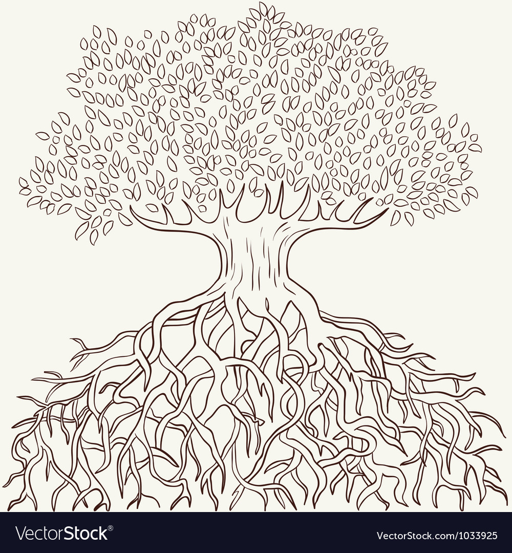 Tree with root Royalty Free Vector Image - VectorStock Tree with root Royalty Free Vector Image - VectorStock