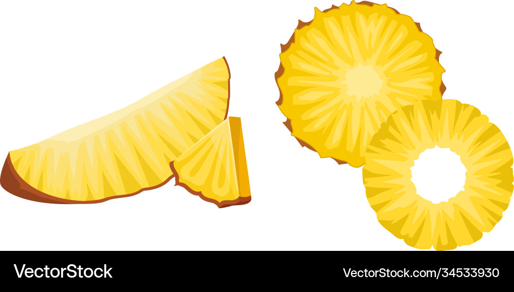 Fresh and juicy pineapple slices and sections Vector Image