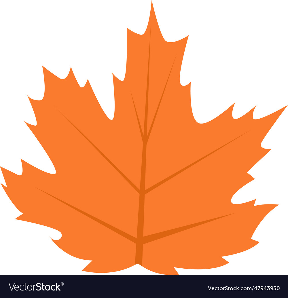 Maple tree leaf Royalty Free Vector Image - VectorStock