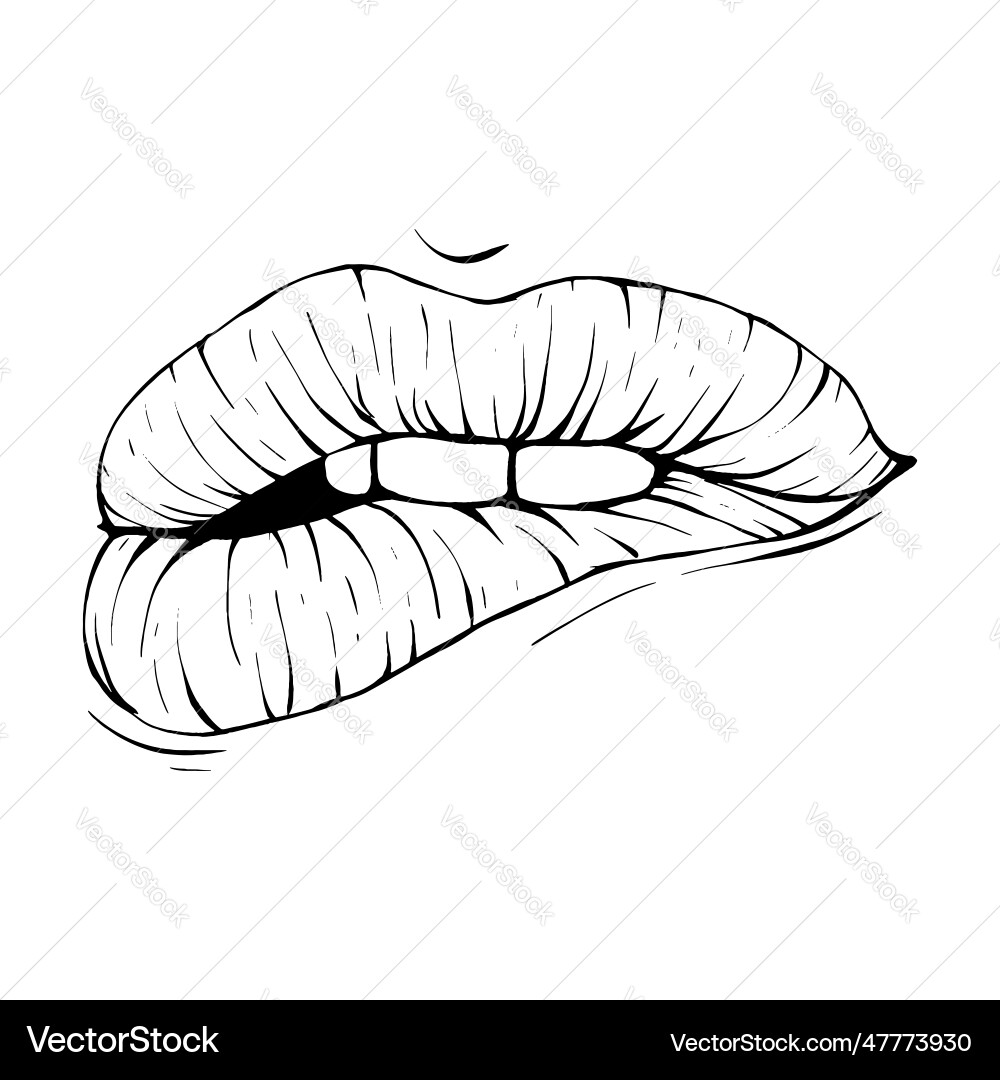 Mouth lips sketch line art Royalty Free Vector Image