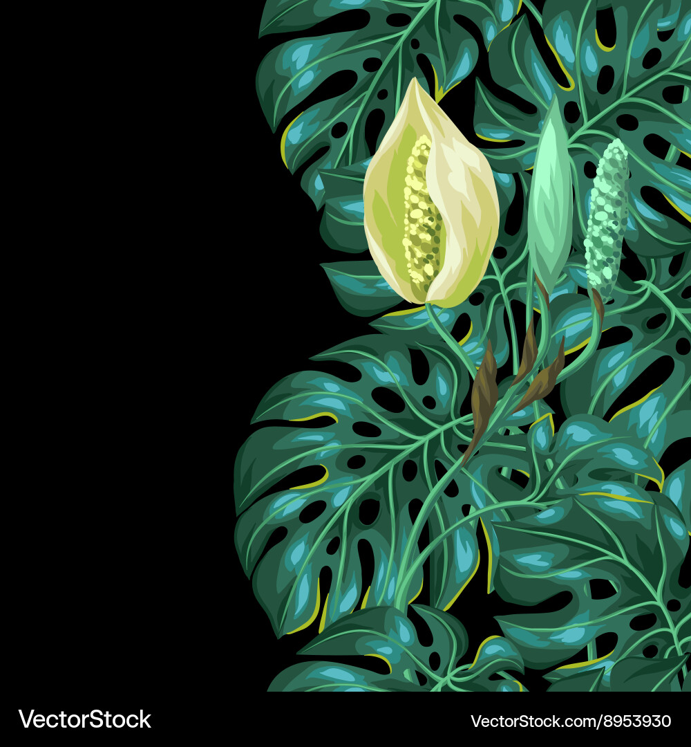 Seamless pattern with monstera leaves Decorative Vector Image