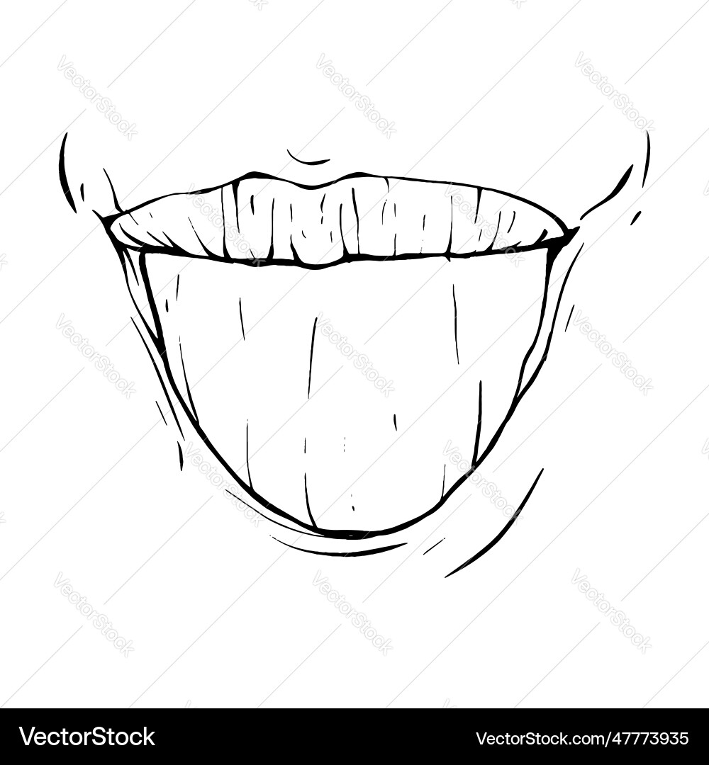 Mouth lips sketch line art Royalty Free Vector Image