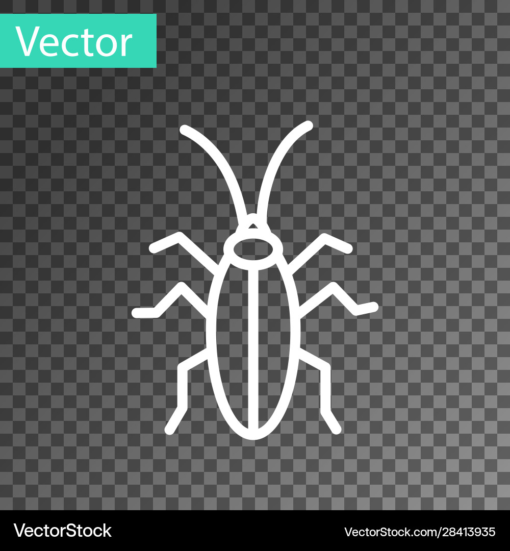 White line cockroach icon isolated on transparent Vector Image