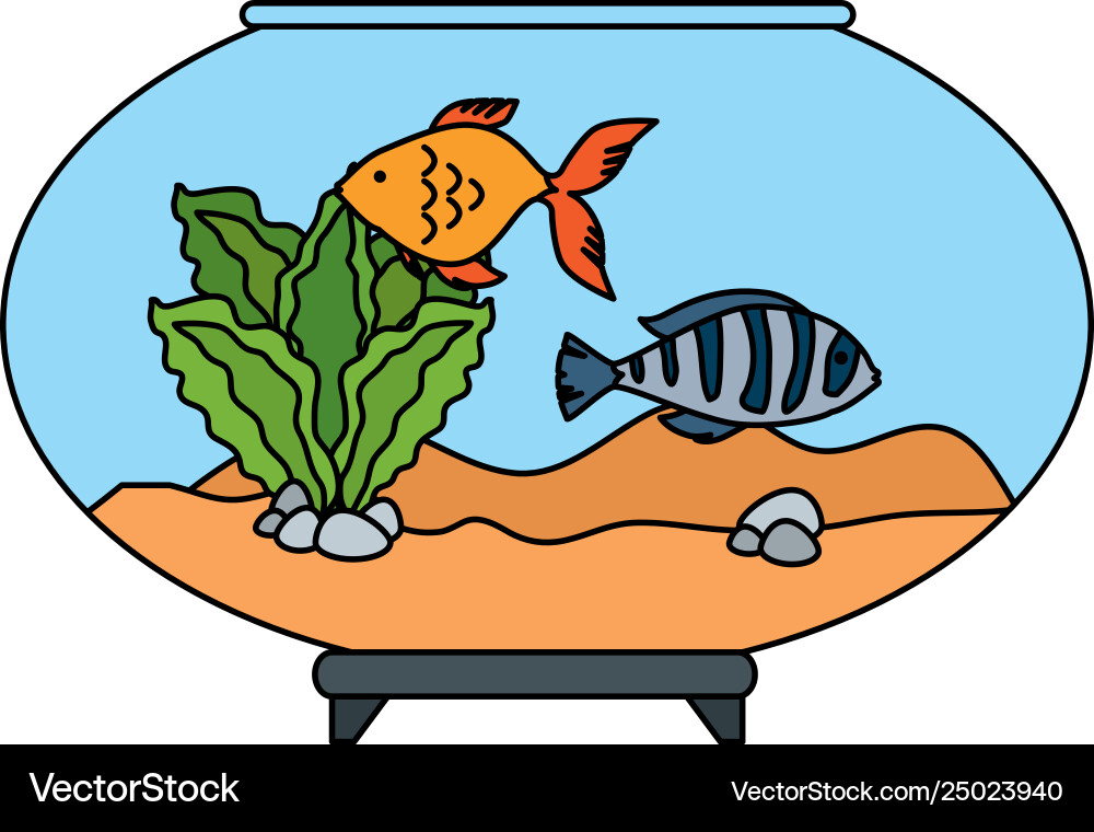 Aquarium bowl with colors fish Royalty Free Vector Image