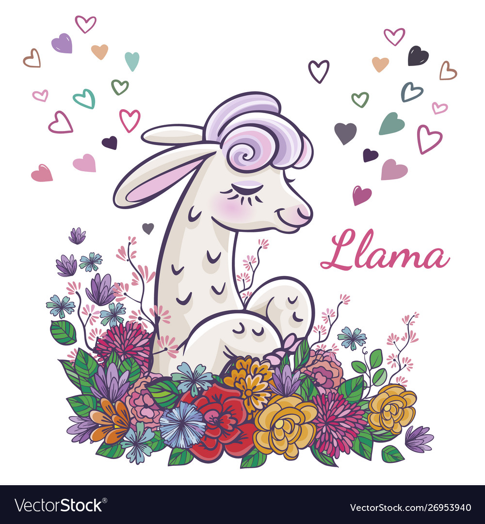 Beautiful llama alpaca portrait with flowers Vector Image