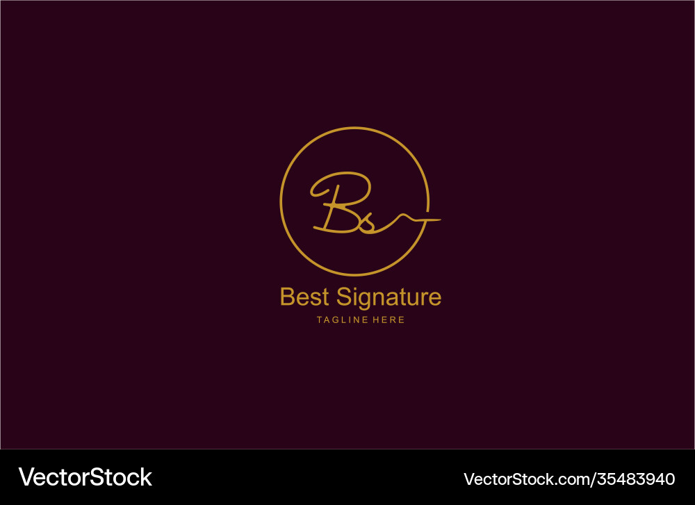 Circle calligraphy signature letter bs logotype Vector Image