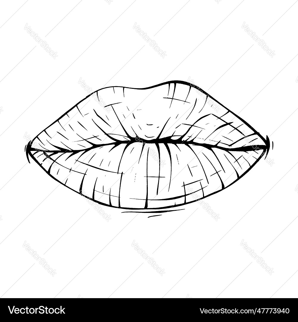 Mouth lips sketch line art Royalty Free Vector Image