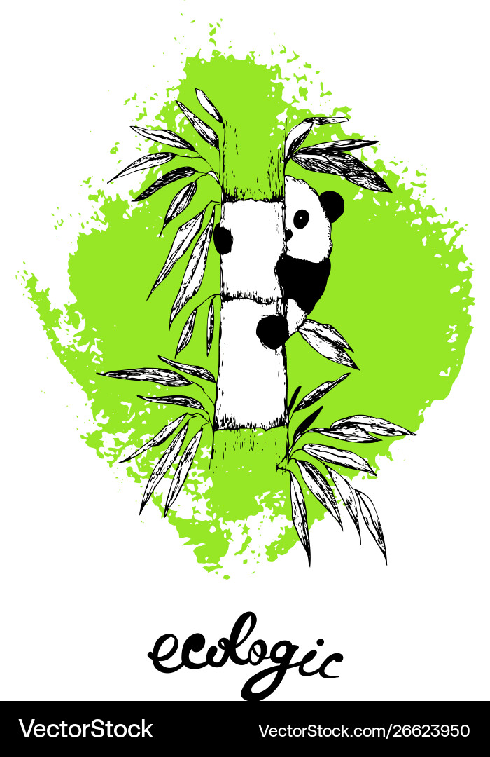 Ecopanda Royalty Free Vector Image - VectorStock