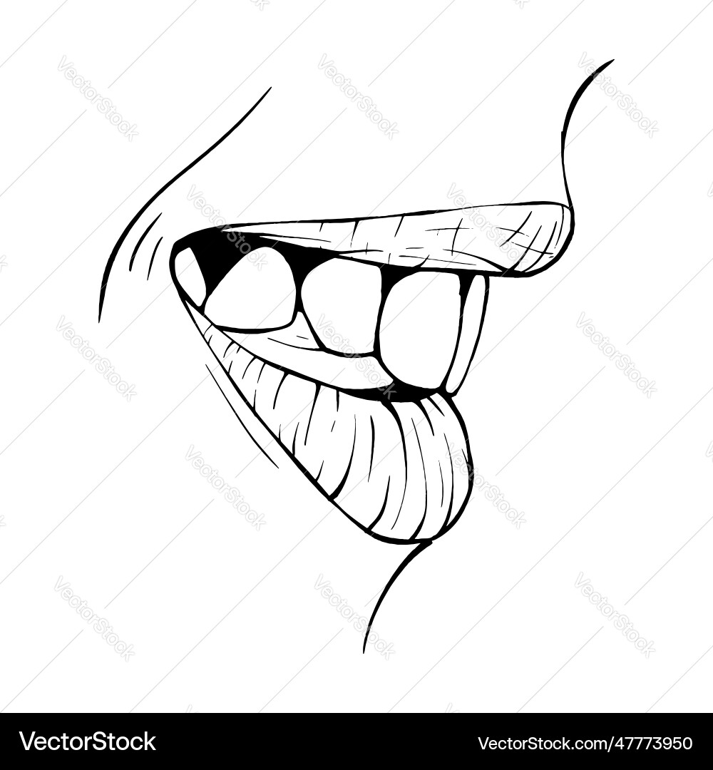 Mouth lips sketch line art Royalty Free Vector Image