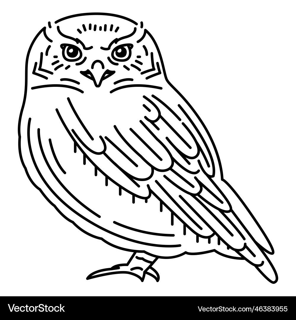 Bird owl stroke Royalty Free Vector Image - VectorStock