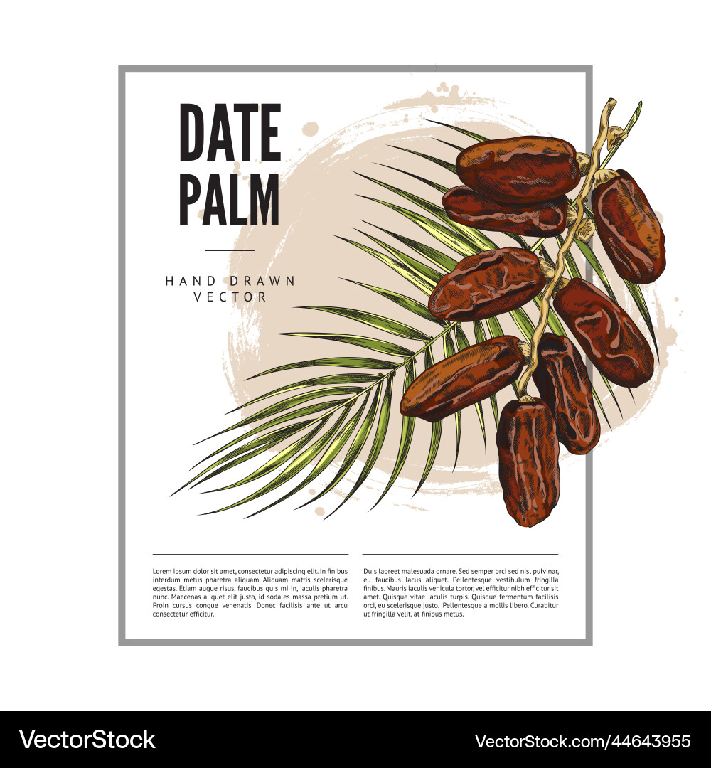Date palm banner with rectangular blank frame Vector Image