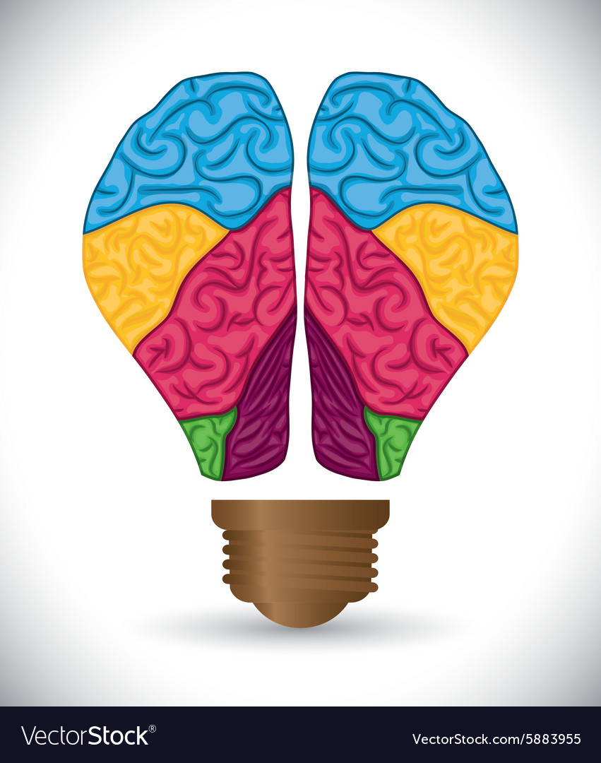 Human brain design Royalty Free Vector Image - VectorStock