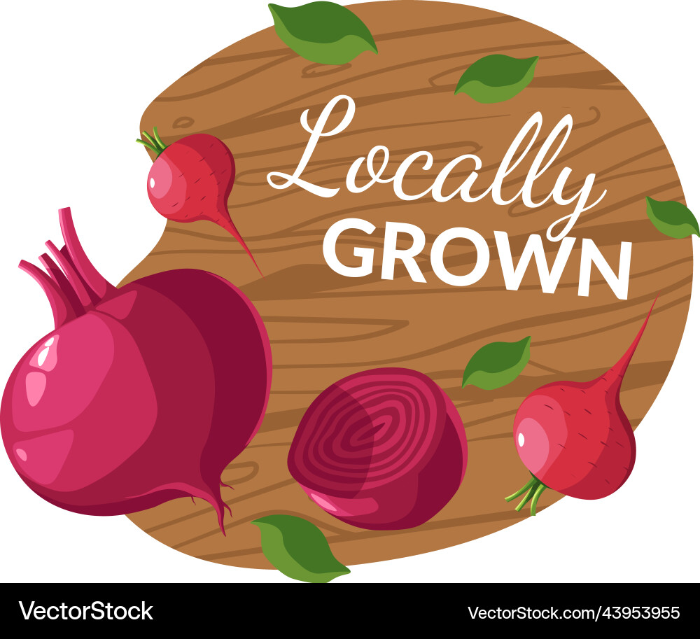 Locally grown beetroot vegetables farm veggies Vector Image