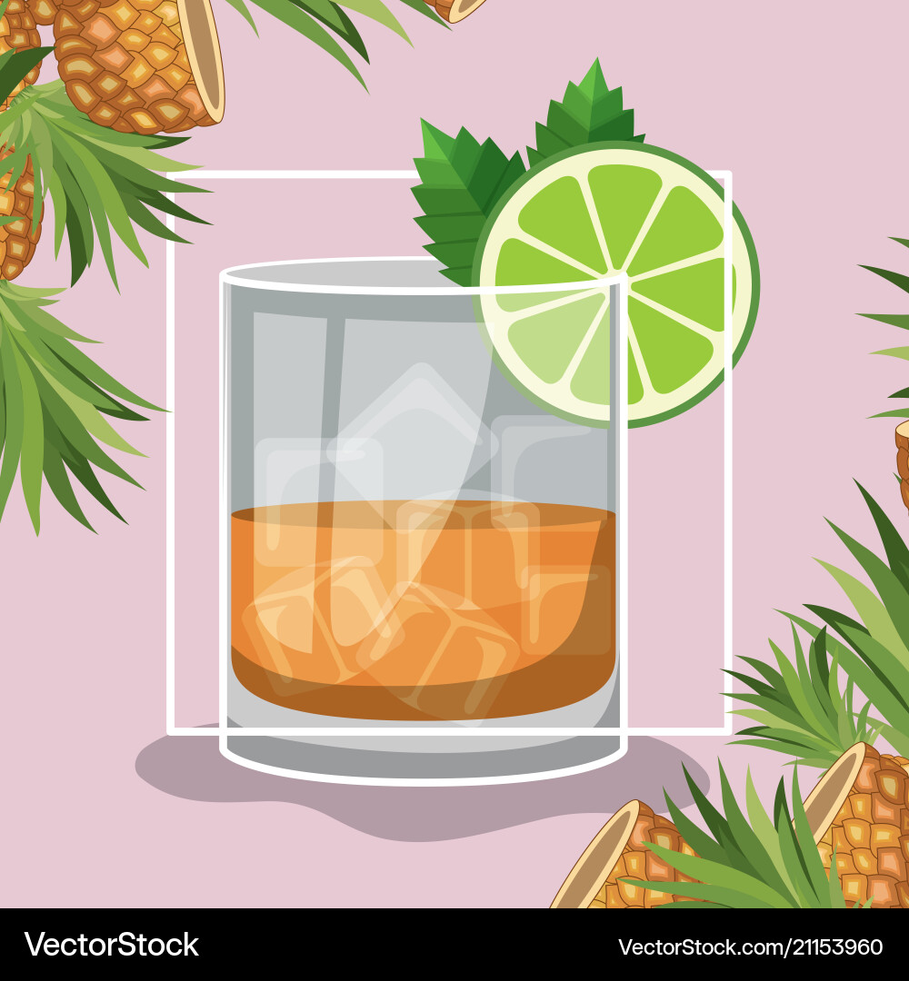 Best drinks tropical cocktail Royalty Free Vector Image