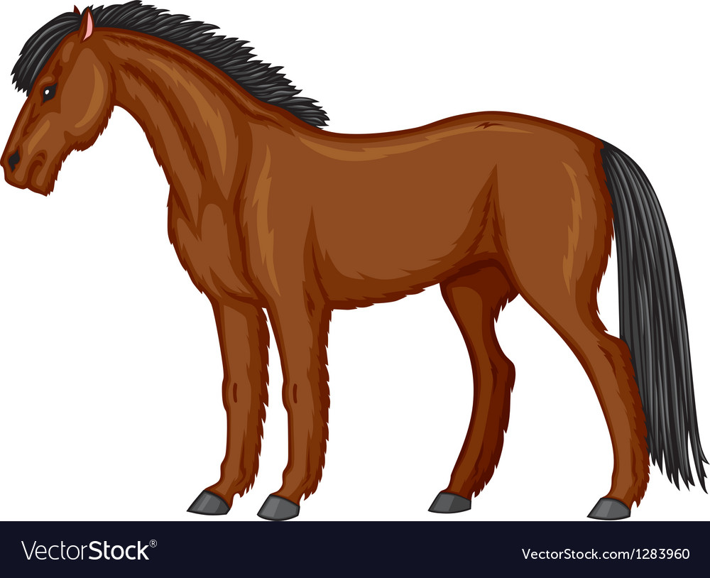 Pony Royalty Free Vector Image - VectorStock