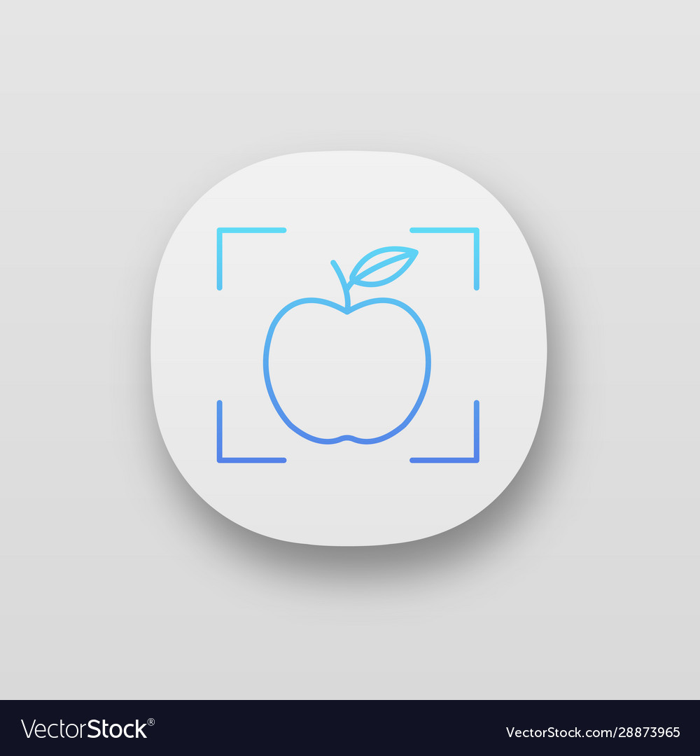 Object detection app icon Royalty Free Vector Image Object detection app icon Royalty Free Vector Image