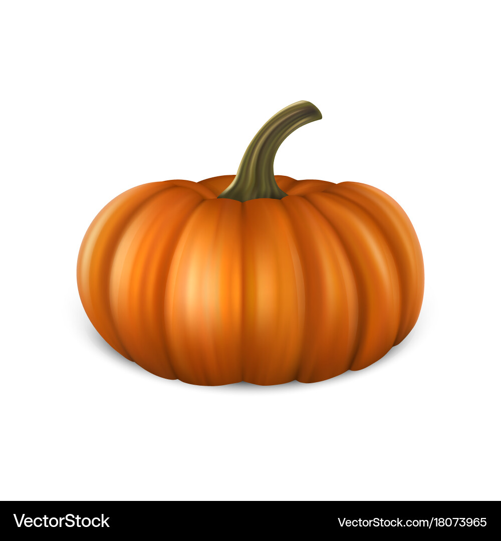 Realistic pumpkin icon closeup isolated on white Vector Image