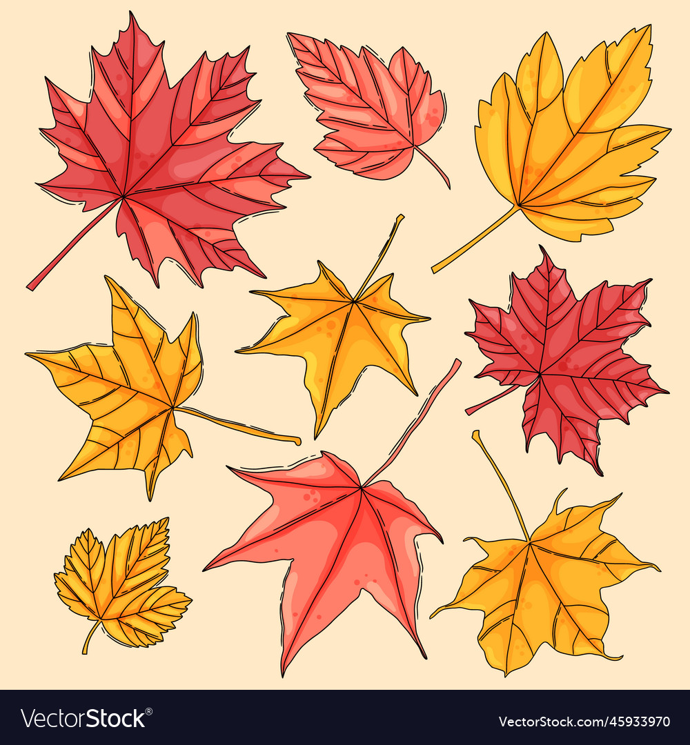 Autumn maple leaf collection Royalty Free Vector Image