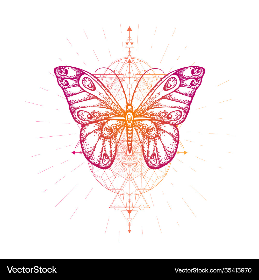 Butterfly and geometric symbol Royalty Free Vector Image