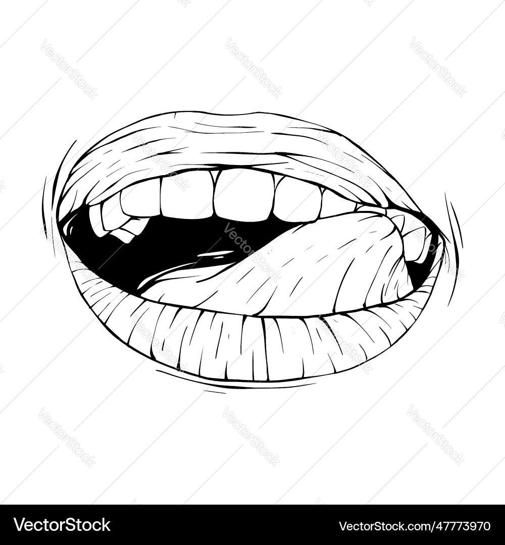 Mouth lips sketch line art Royalty Free Vector Image