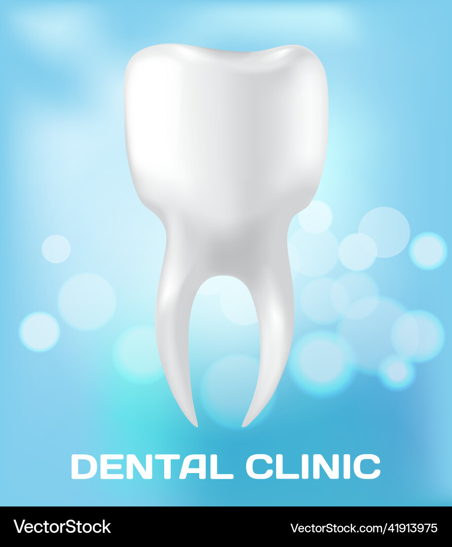 Human gum with healthy teeth and denture Vector Image