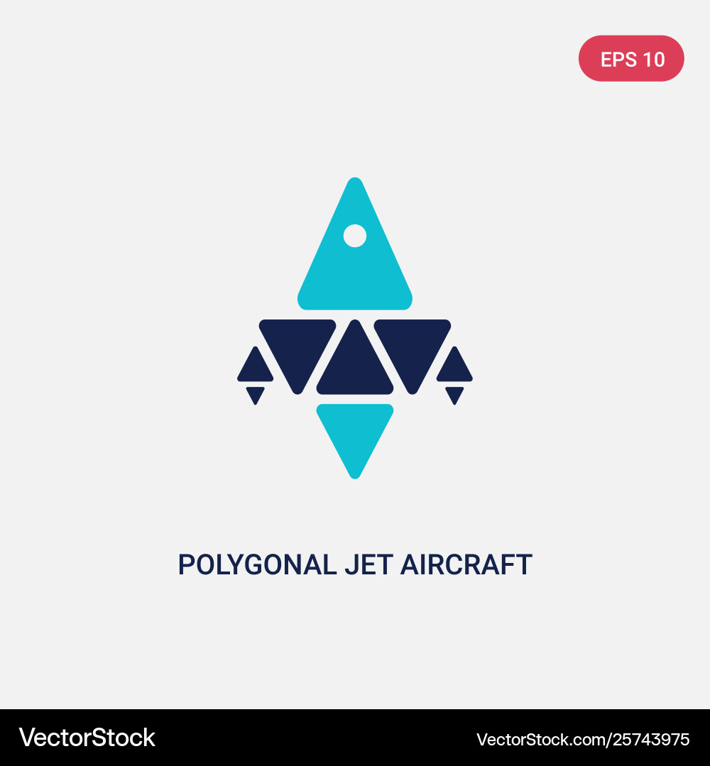 Two color polygonal jet aircraft icon from Vector Image