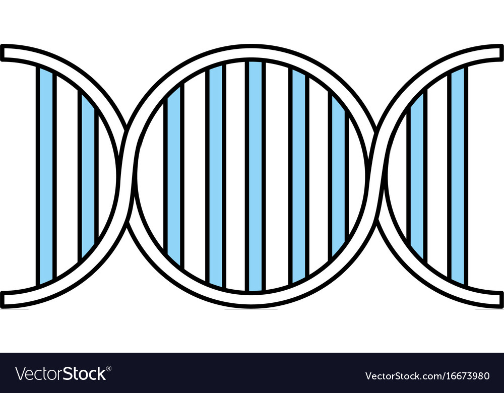 Dna Royalty Free Vector Image - VectorStock