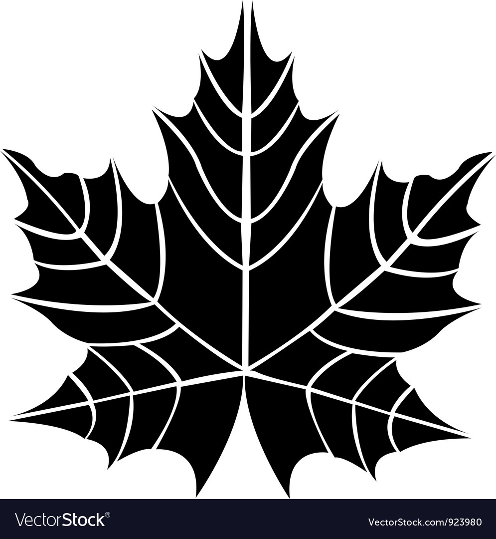 Leaf Royalty Free Vector Image - VectorStock