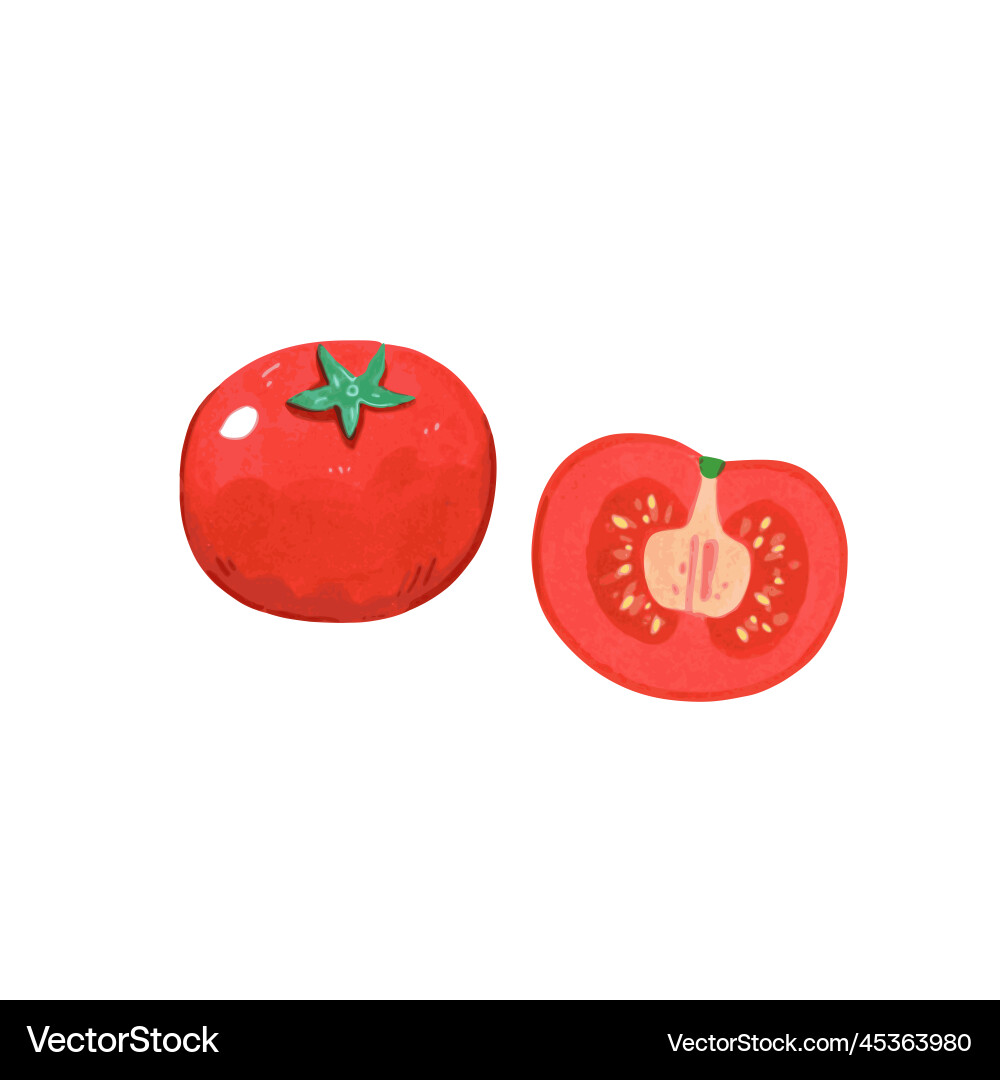 Red tomato in hand drawn cartoon Royalty Free Vector Image