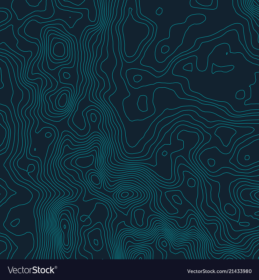 Topographic map background concept with space Vector Image Topographic map background concept with space Vector Image