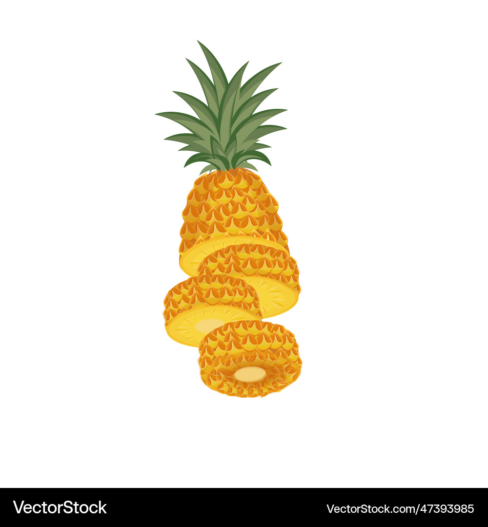 Cut natural pineapple Royalty Free Vector Image