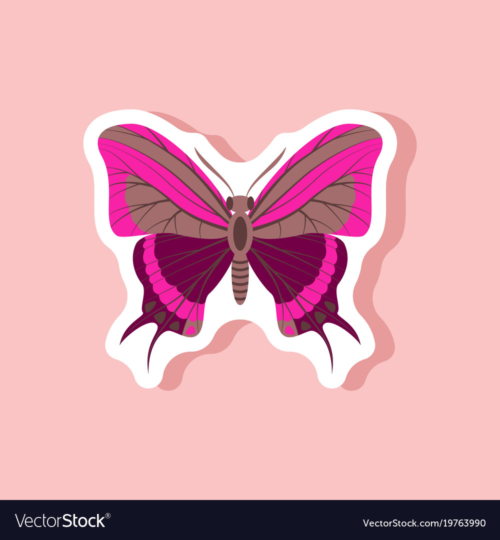 Butterfly Paper Sticker On Stylish Background Vector Image