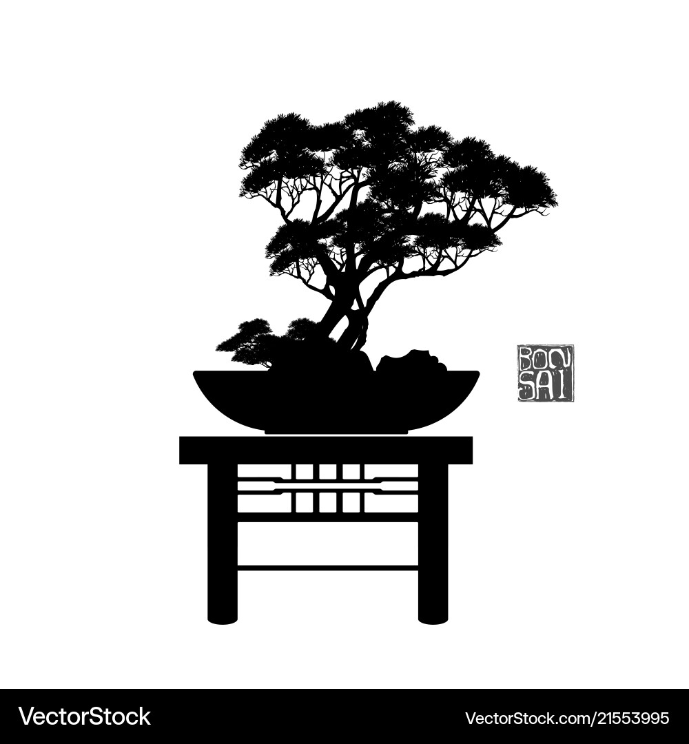 Bonsai tree japanese and chinese trees Royalty Free Vector