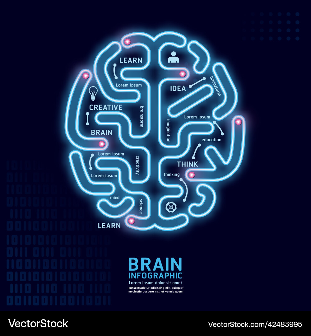 Brain infographic label template with icons neon Vector Image