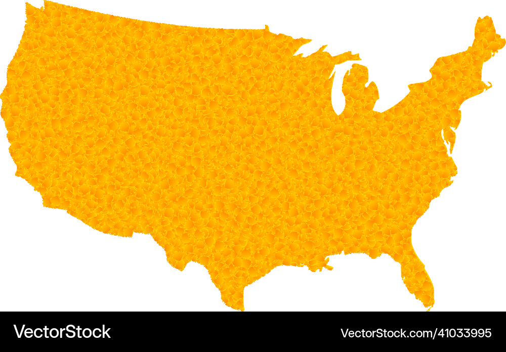 Gold map of usa Royalty Free Vector Image - VectorStock