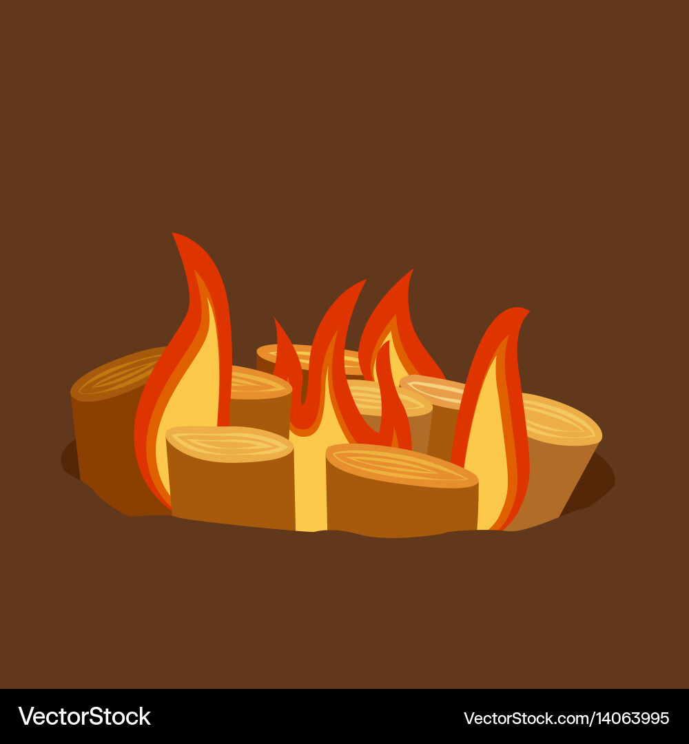 Isolated of campfire logs burning Royalty Free Vector Image