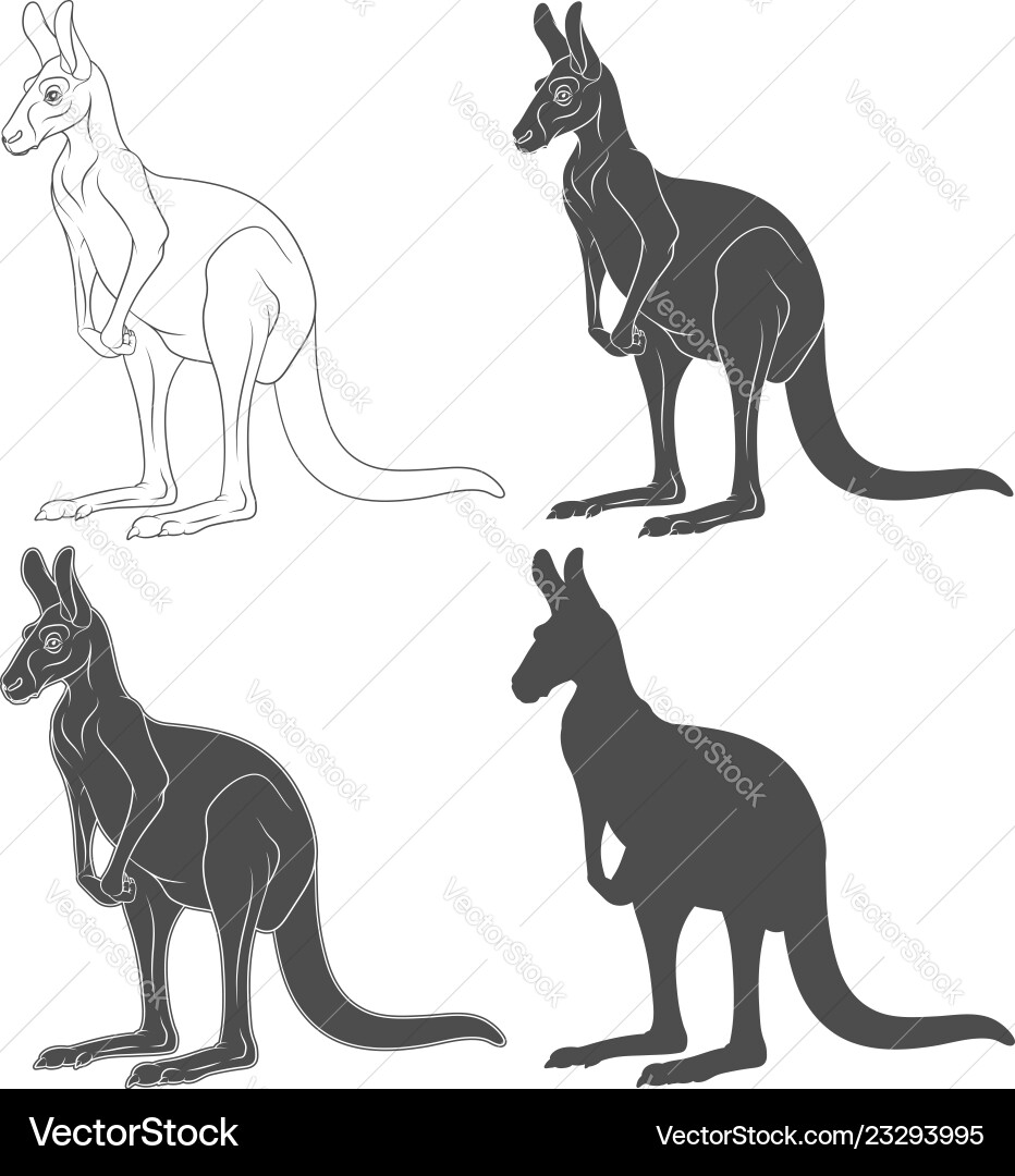 Set of black and white kangaroo Royalty Free Vector Image