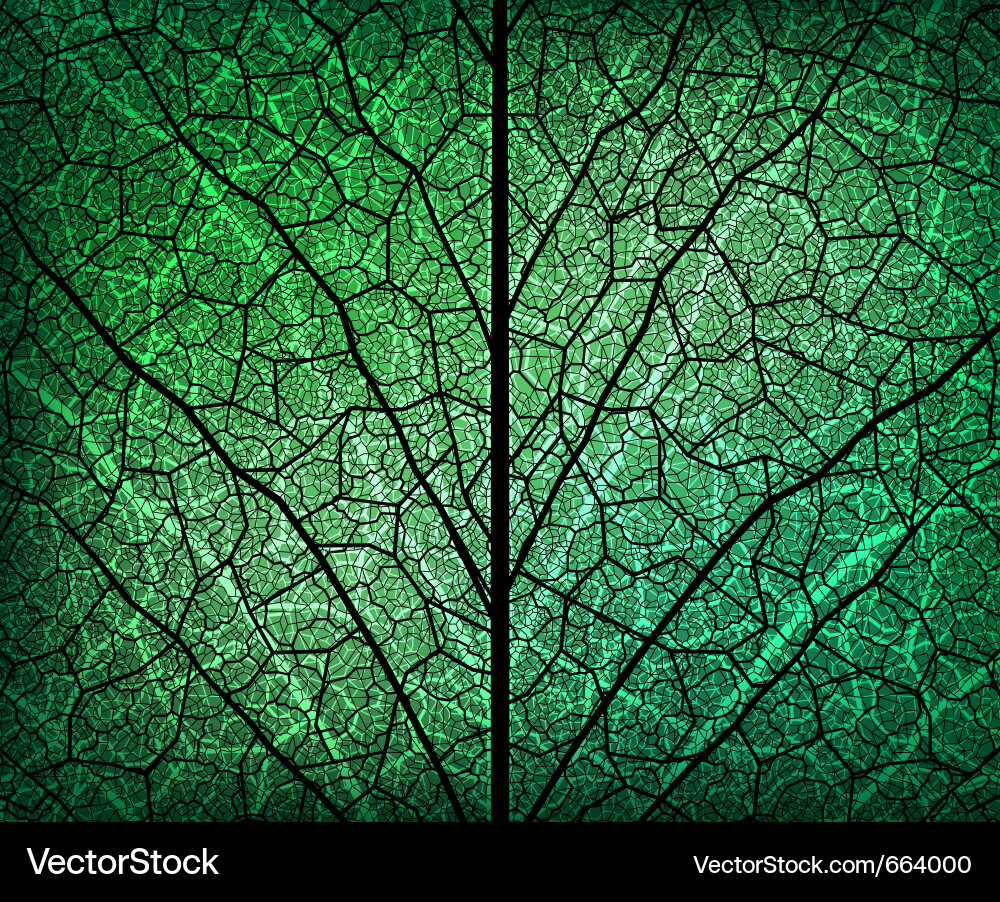 Creative background Royalty Free Vector Image - VectorStock