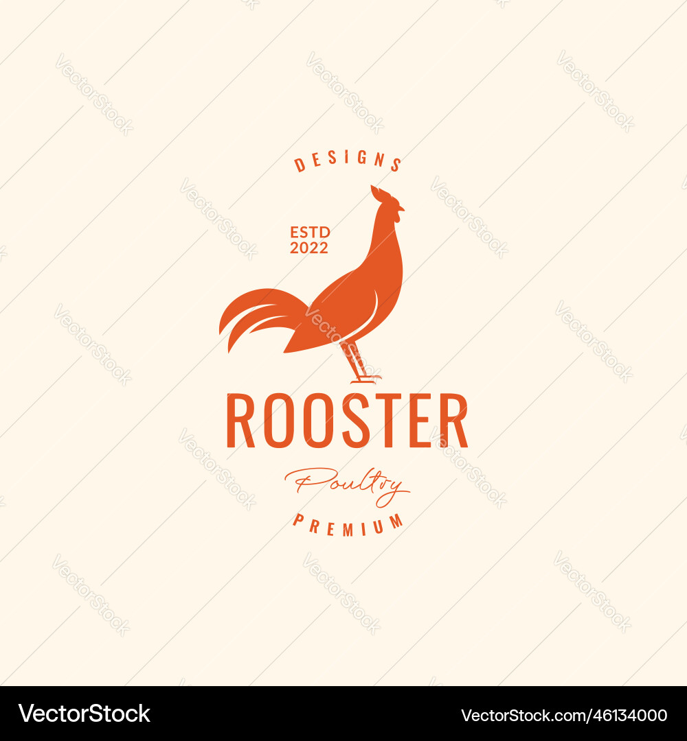 Poultry chicken rooster feather long tails Vector Image
