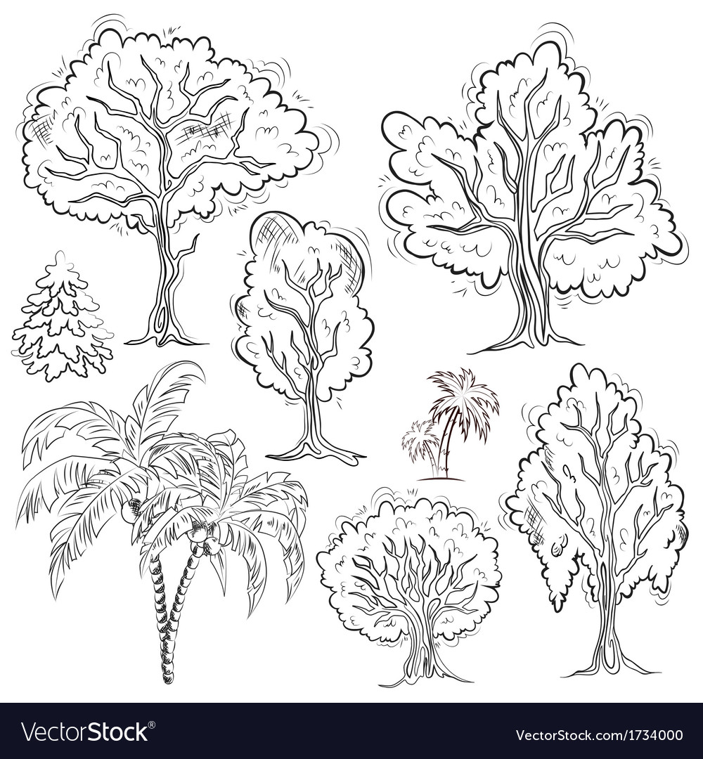 Set of isolated sketched trees Royalty Free Vector Image