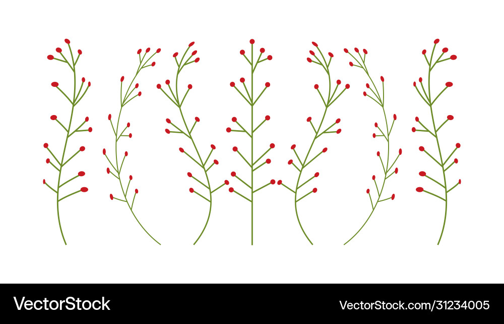 Botanical floral set green plants branches with Vector Image