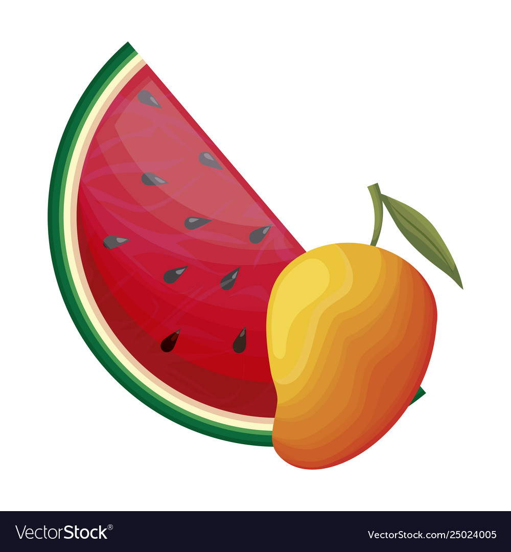 Fresh healthy slice watermelon and mango fruits Vector Image