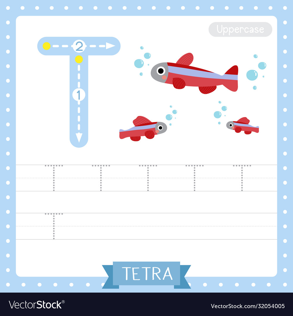 Letter t uppercase tracing practice worksheet Vector Image