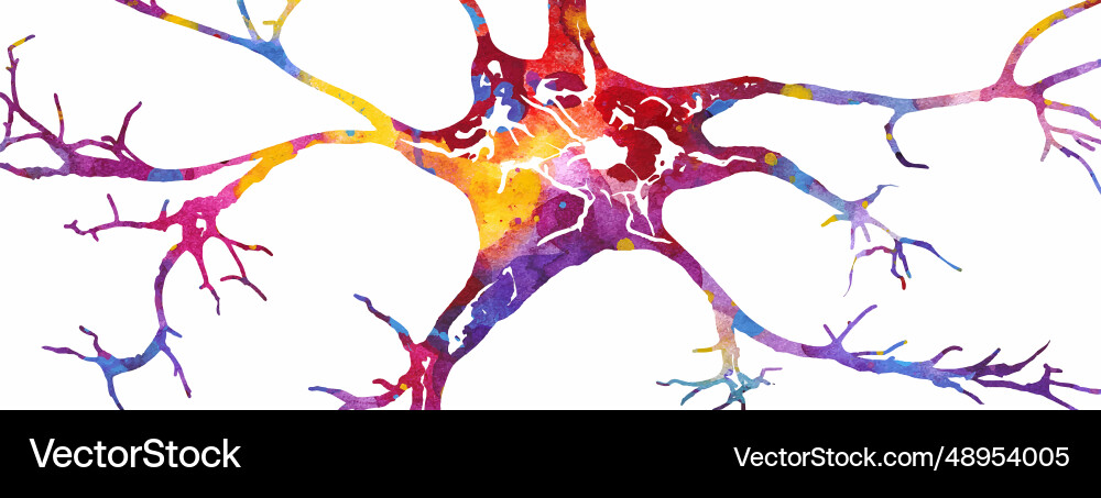Neuron colorful watercolor Royalty Free Vector Image