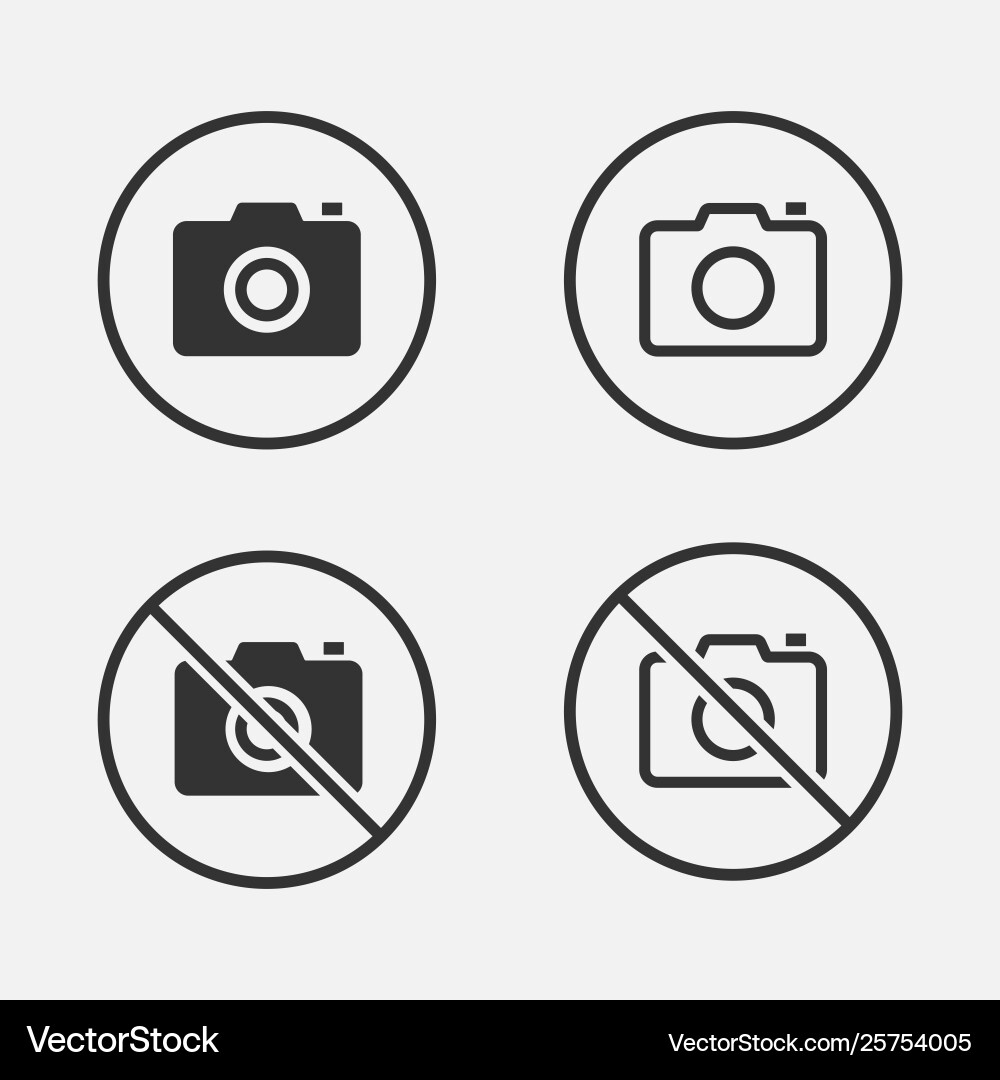 No photo icon for graphic and web design Vector Image