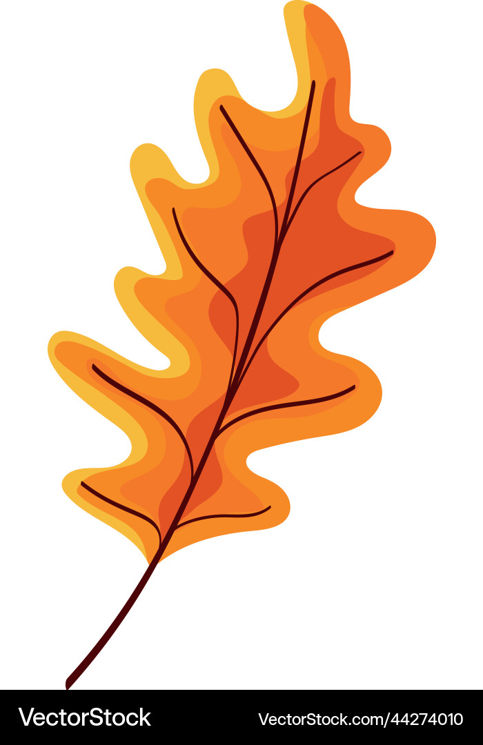 Dry leaf autumn season Royalty Free Vector Image