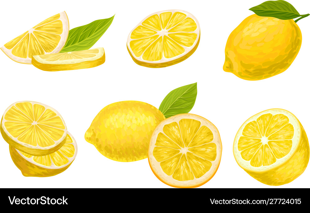 Fresh lemon set sliced and whole fruit Royalty Free Vector